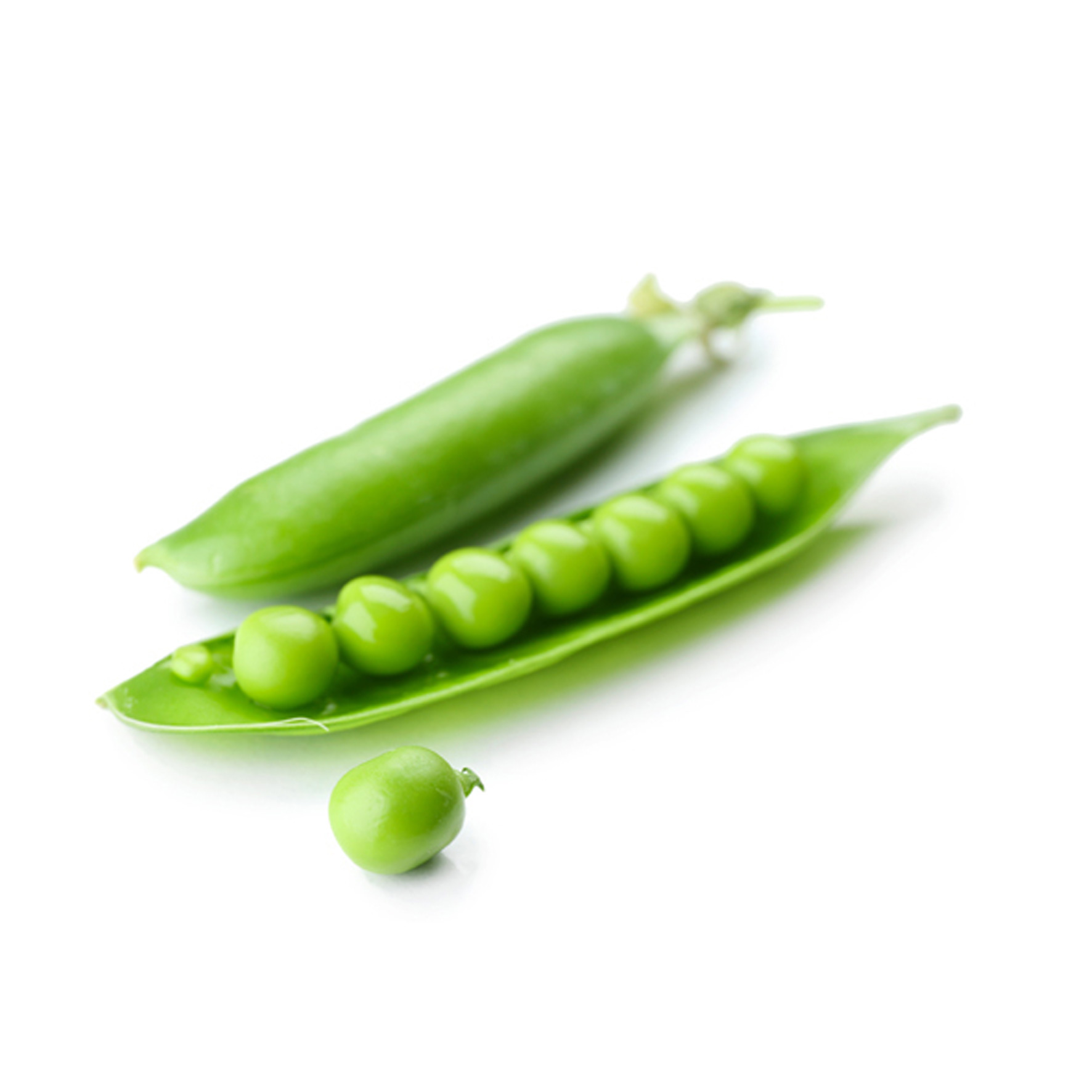 אפונה בתרמיל - Selmor